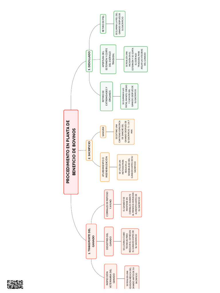 Algor Education | PDF | Carne