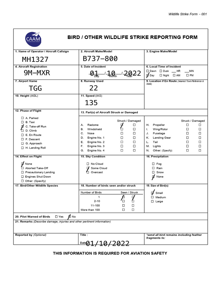 Bird Strike Reporting Form | PDF | Turbine Engine Failure | Transport