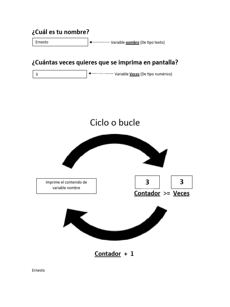 Explicación Ciclos de Programación | PDF