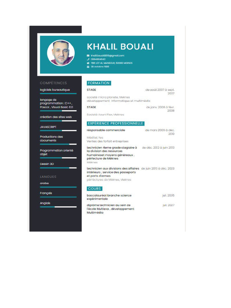 CV de Khalil | PDF