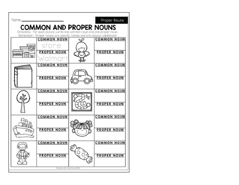 HW Jan 10- Common and Proper Nouns | PDF