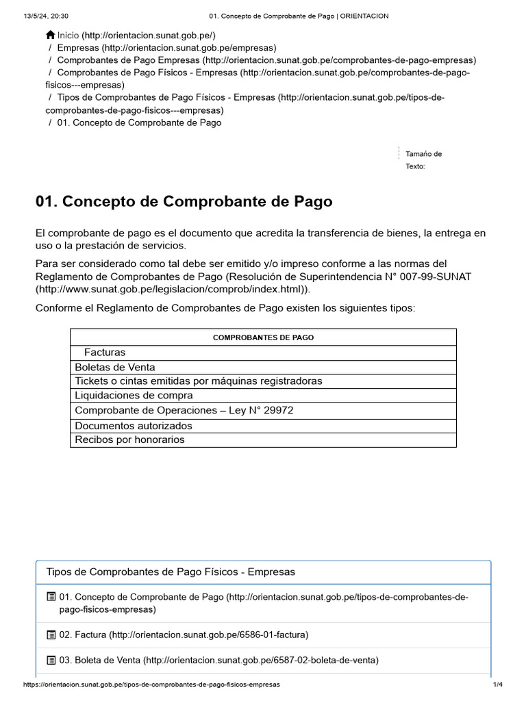 01. Concepto de Comprobante de Pago _ ORIENTACION | Descargar gratis PDF | Factura