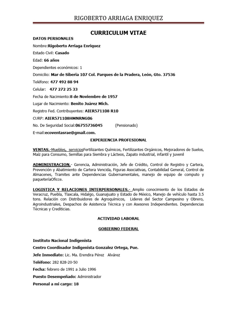 Curriculum Vitae Rae 2024 | PDF | México