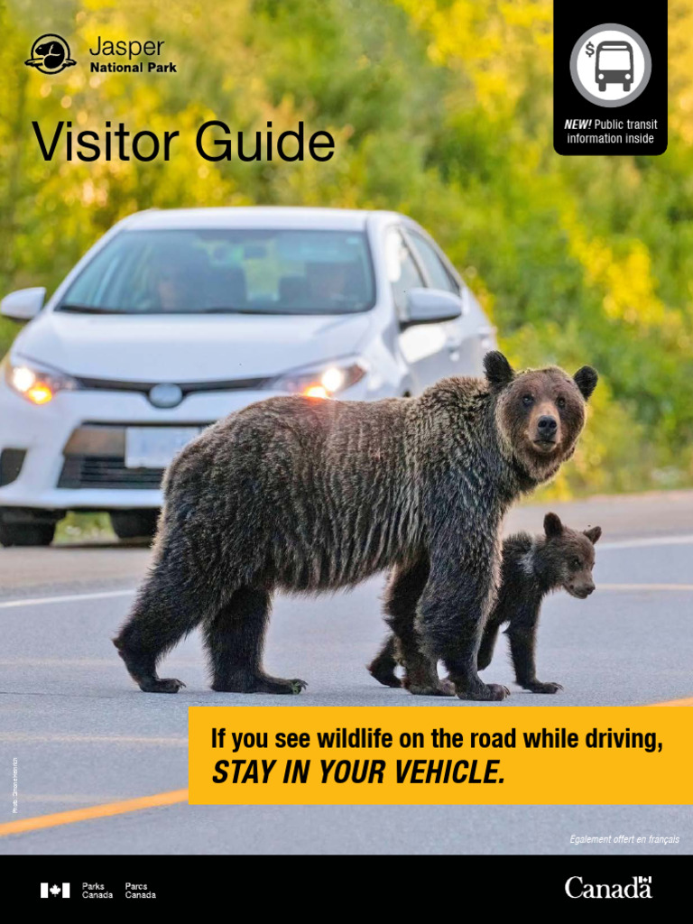 Jasper National Park Visitor Guide | PDF | Transport | Land Transport