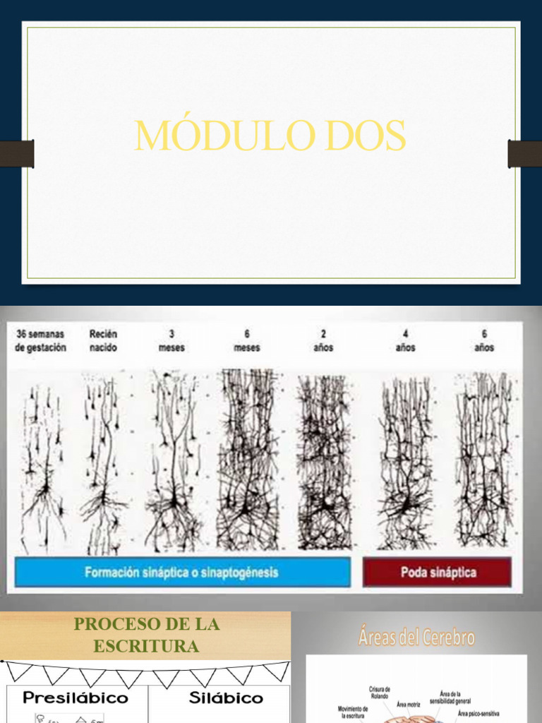Modulo Dos Procesossv | PDF | Ciencias del comportamiento | Sicología