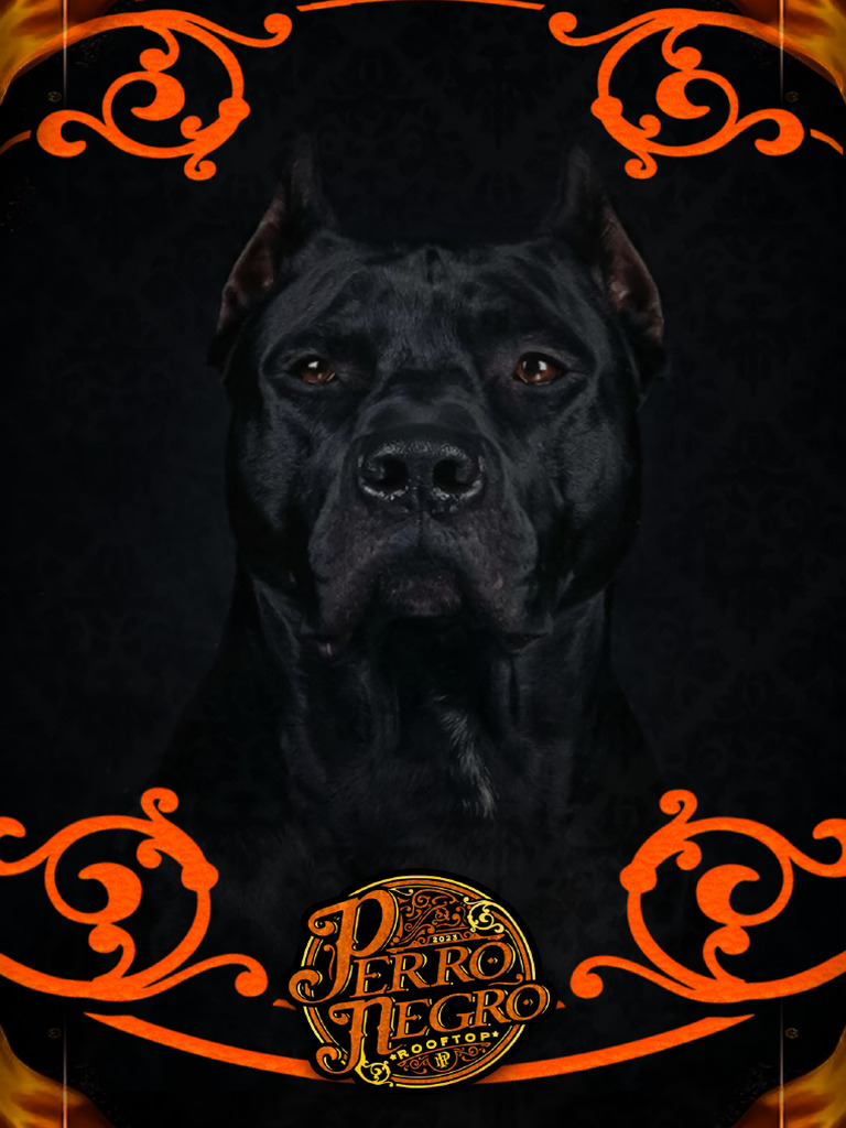 Bienvenidos A Perro Negro ) | PDF