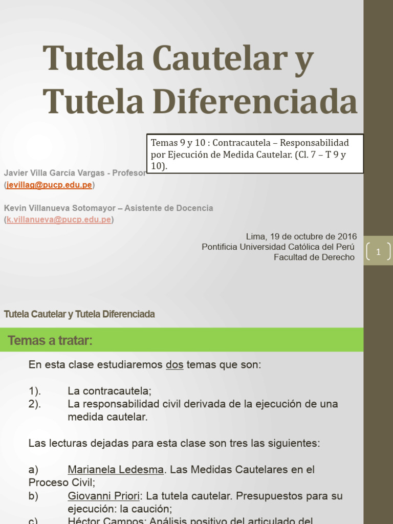 Contracautela y Responsabilidad Cautelar | PDF | Daños y perjuicios ...