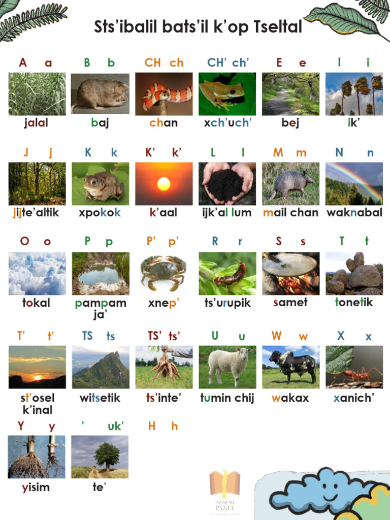Alfabeto Tseltal 6 | PDF