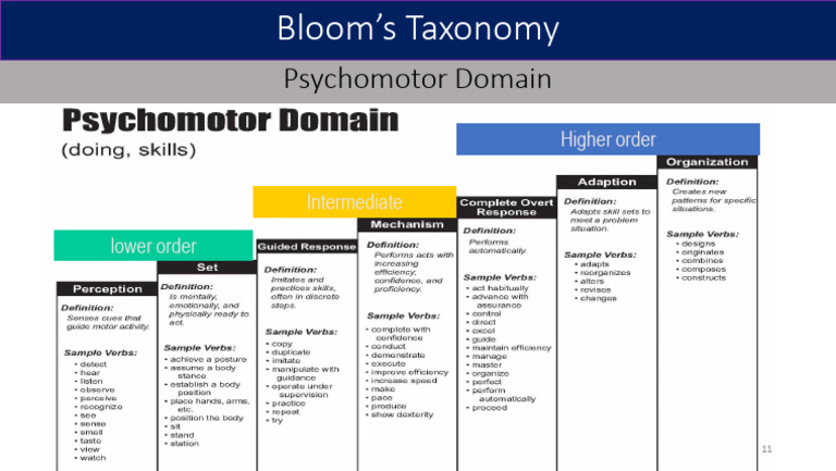 Psycomotor Domain | PDF