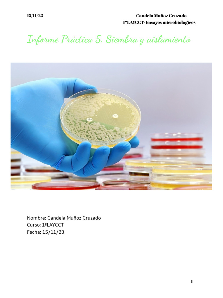 Informe Práctica 5 Micro (Candela) | PDF | Siembra | Microorganismo