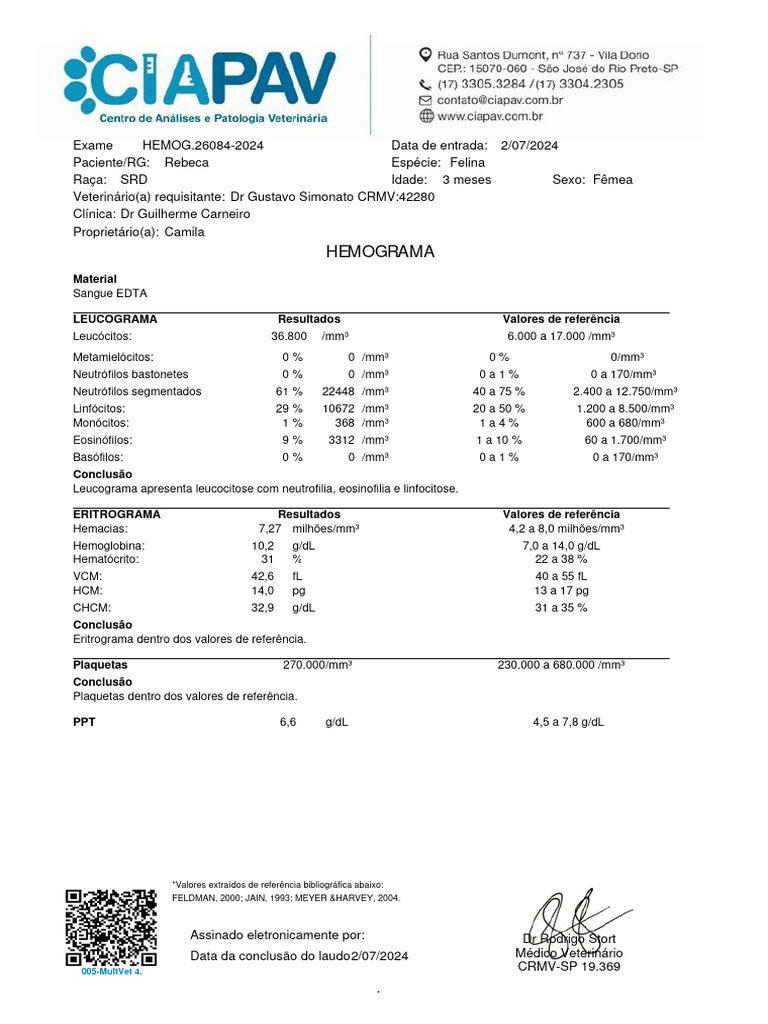 HEMOG 26084 Rebeca Camila | PDF | Fisiologia | Anatomia animal