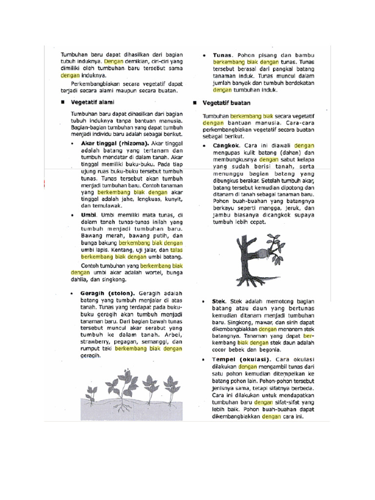 Vegetatif Alami Dan Vegetatif Buatan | PDF