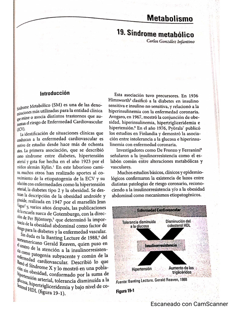 clínica y terapéutica en la Nutricion del adulto. De Girolami. cap 19 ...