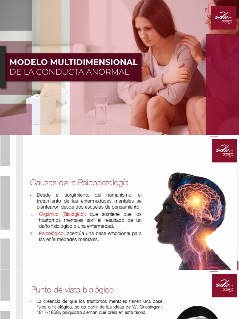Modelo Multidimensional de La Conducta Anormal | PDF | Psicopatología | Trastorno mental