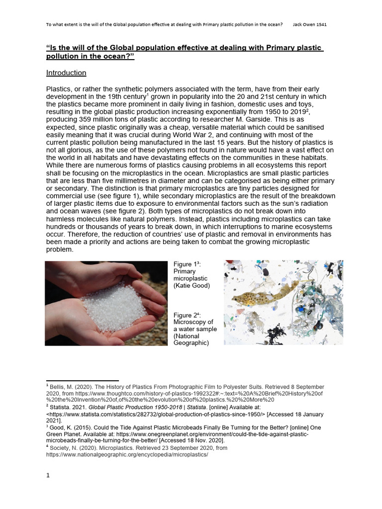 EPQ writing 3 | Download Free PDF | Plastic | Pollution