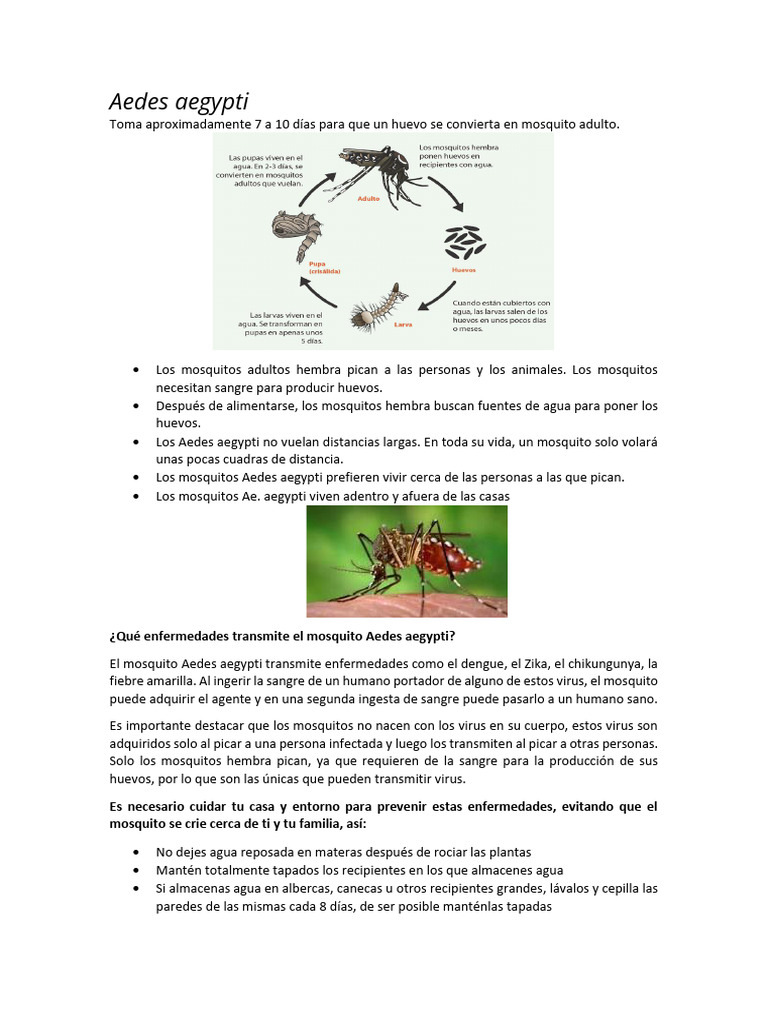 Aedes Aegypti | PDF | Mosquito | Aedes aegypti