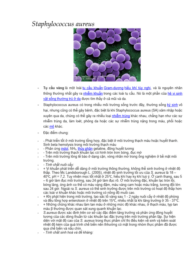 Staphylococcus Aureus | PDF
