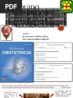 Manejo Perinatal del Anhidramnios Renal | PDF | Riñón | Diálisis