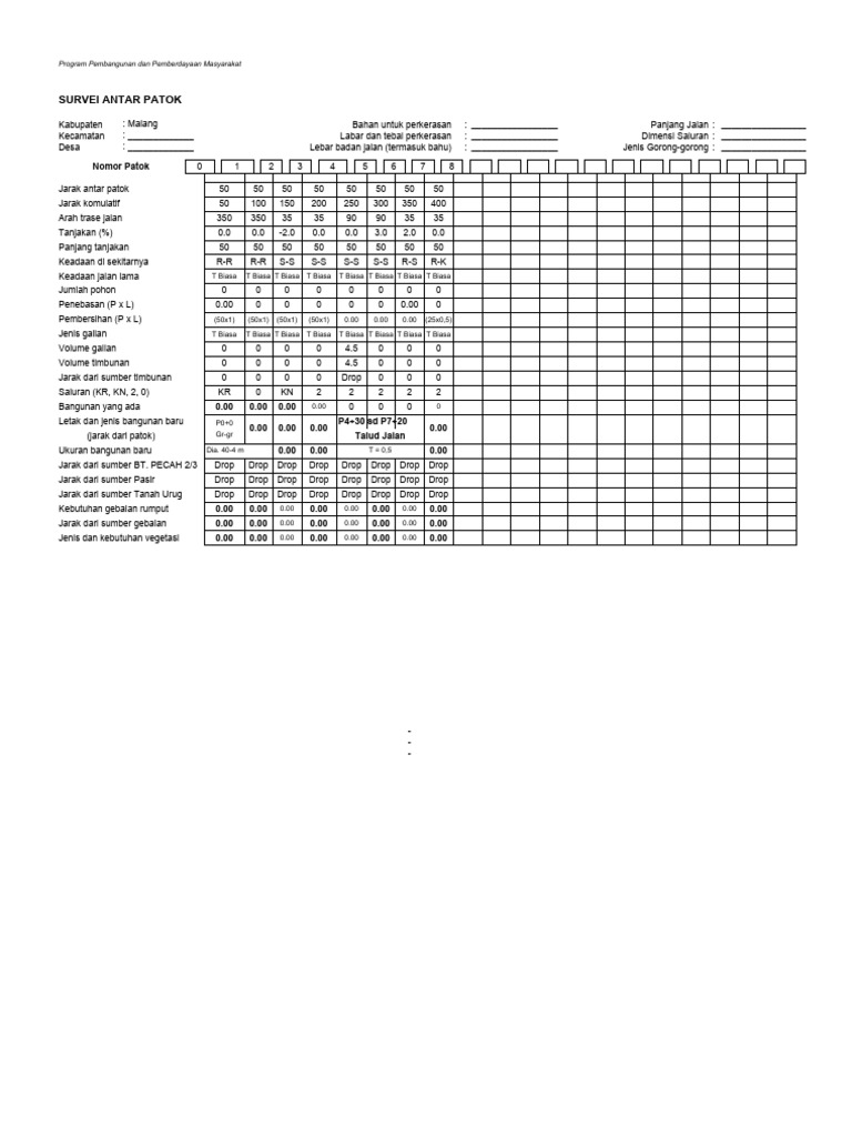 Blangko Survey | PDF