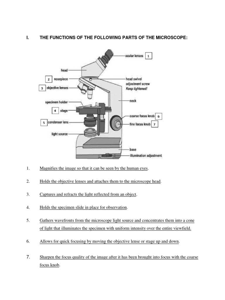 Label & Function of Miscroscope | PDF | Science & Mathematics