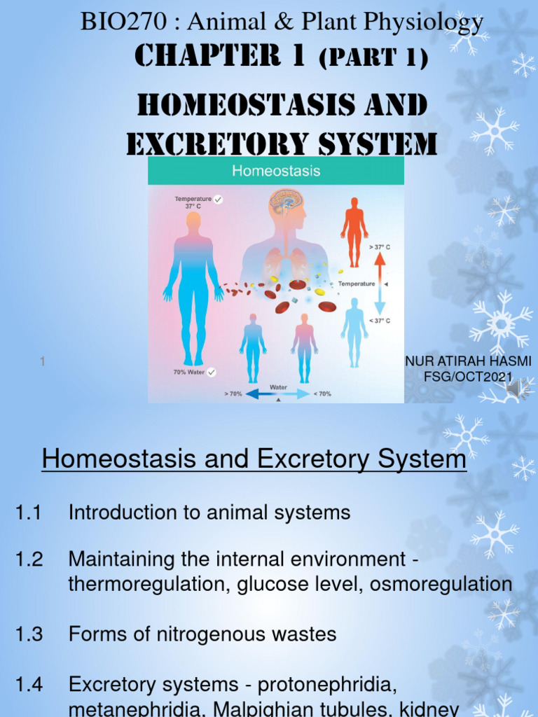 Chapter 1 (Part 1) - Homeostasis and Excretory System | PDF | Homeostasis | Biology