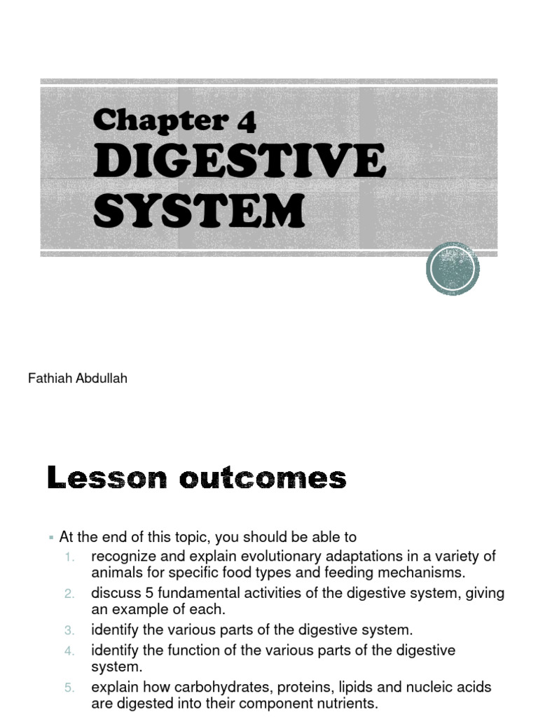 Chapter 4 - Digestive System | PDF | Stomach | Human Digestive System