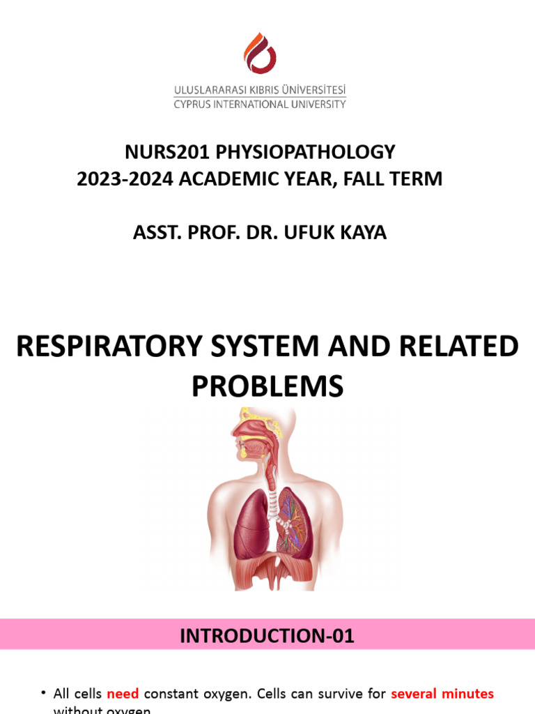 Respiratory System and Related Problems | PDF | Respiratory Tract | Lung