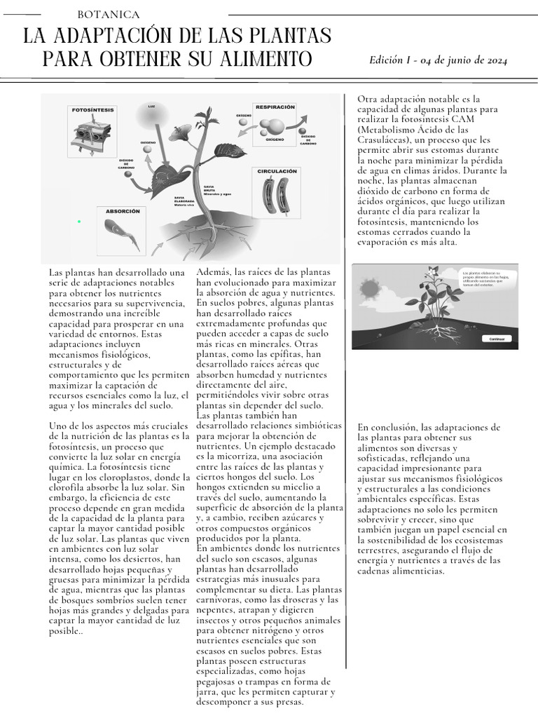 Adaptaciones de las Plantas para Sobrevivir | PDF | Plantas | Fotosíntesis