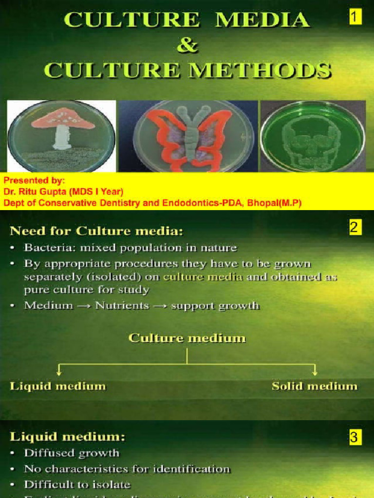 Culture | PDF