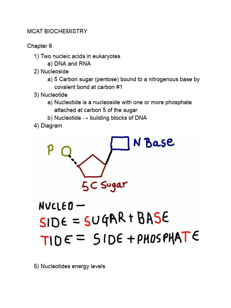 Mcat Biochemistry | PDF | Ribosome | Translation (Biology)