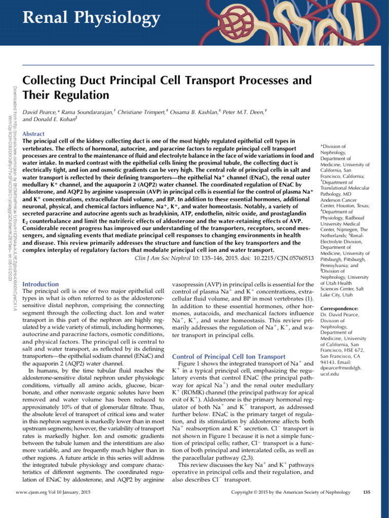 Collecting Duct Principal Cell Transport Processes19 | PDF | Molecular ...