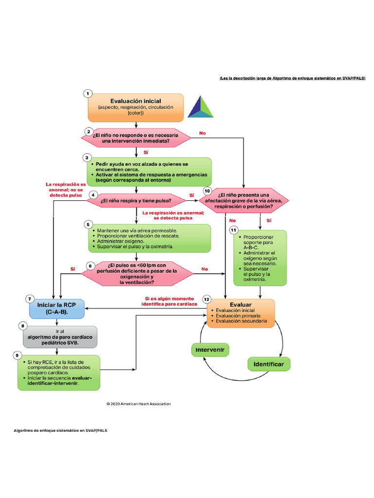 Algoritmos PALS | PDF