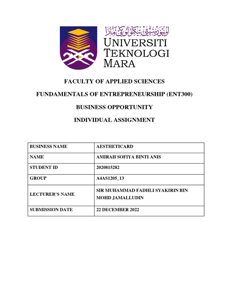 ENT300 INDIVIDUAL | PDF | Private Sector | Marketing