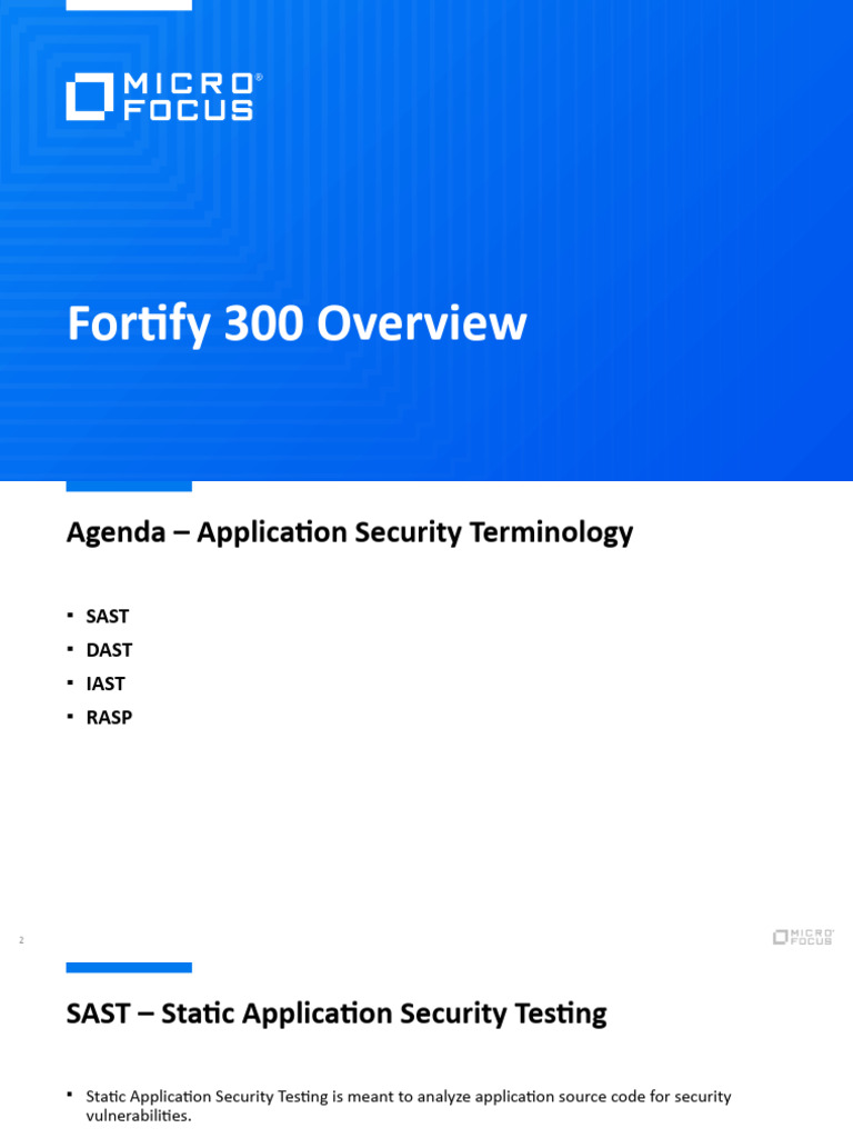 Fortify Overview 300 v2 | PDF | Vulnerability (Computing) | Computer Programming