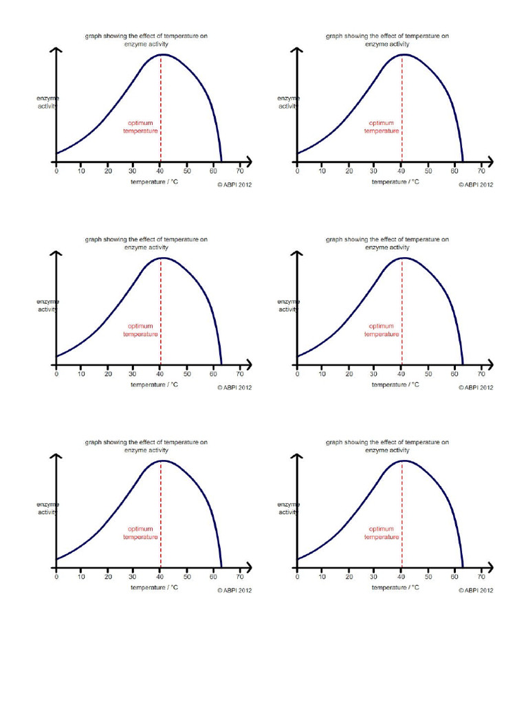 Enzyme and Temp Graph | PDF