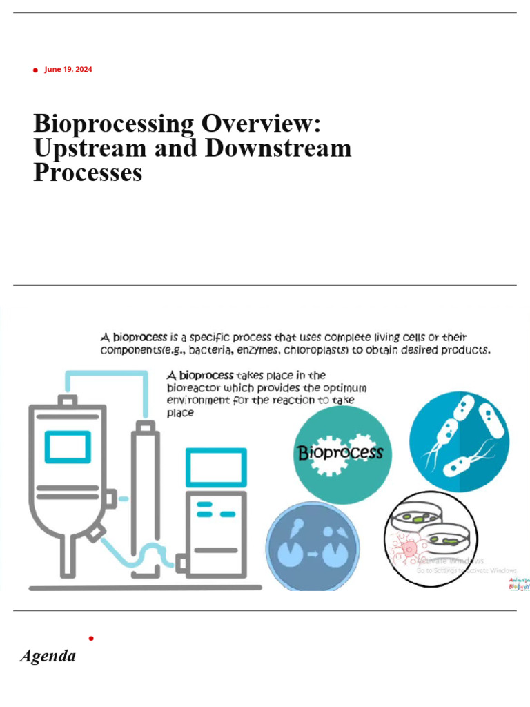 Bioprocessing Overview - Upstream and Downstream Processes | PDF ...