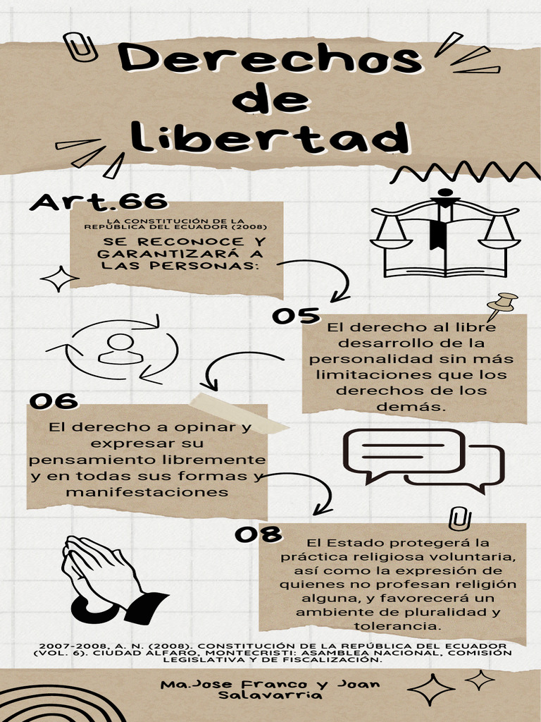 Infografía Sobre El Art.66 | PDF