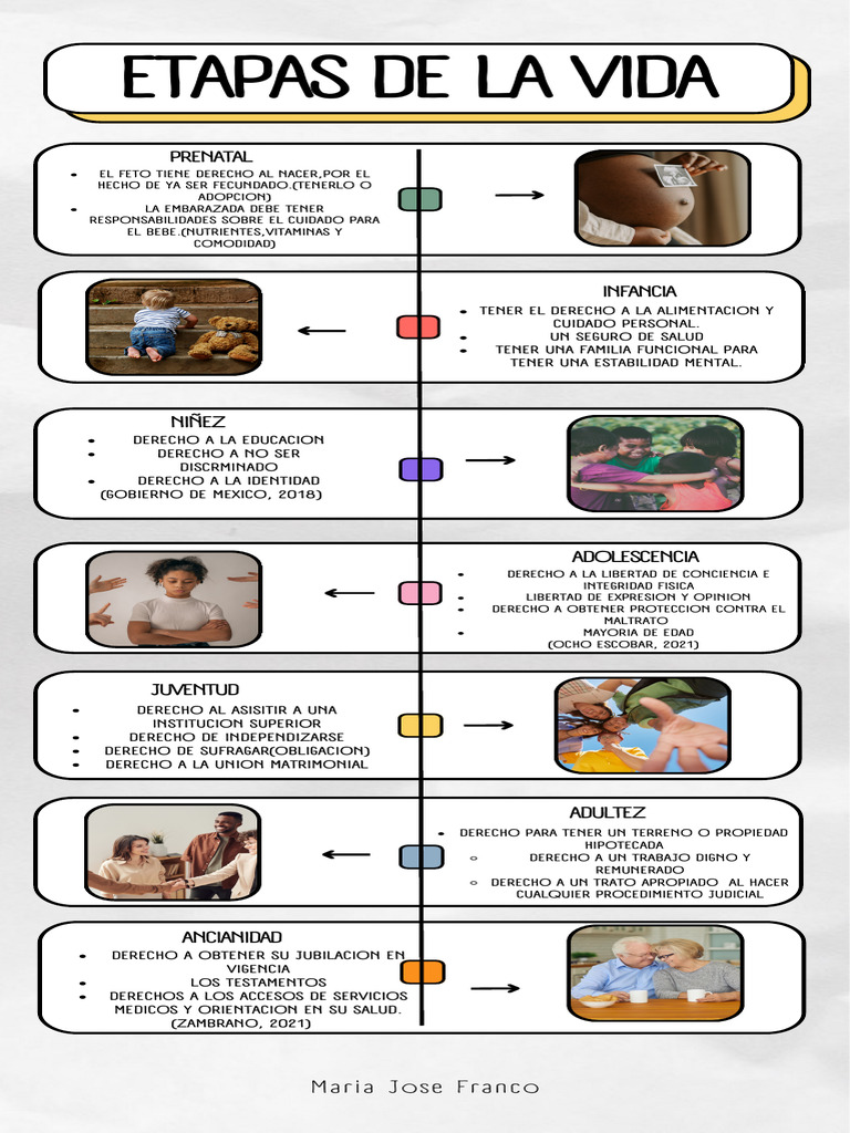 Infografia de La Etapa de Vidas | PDF | Etapas de la vida humana ...
