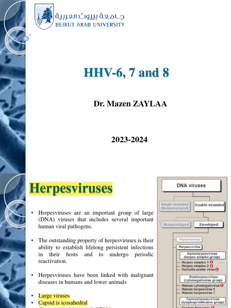HHV-6, 7 and 8 Study | PDF | Virus | Hiv/Aids