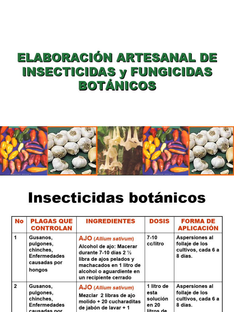Elaboración de Insecticidas y Fungicidas | PDF | Ajo | Ají picante