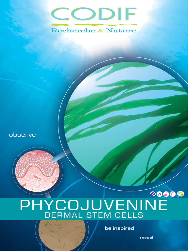 Phycojuvenine Stem Cells Brochure GB | PDF | Skin | Stem Cell