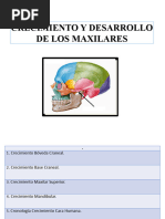 ¿Qué es una cundina? Significado y uso | PDF