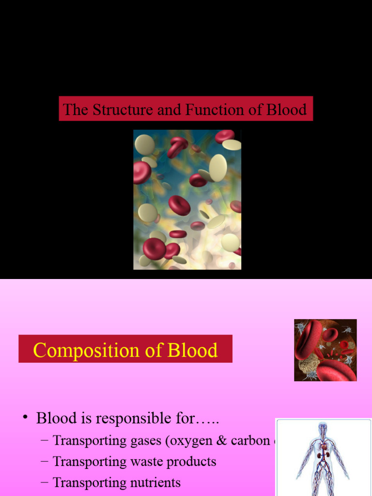 Blood | PDF | Blood Cell | Blood