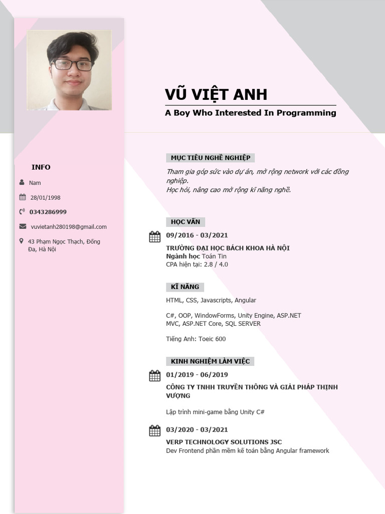 Vu-Viet-Anh-CV | PDF