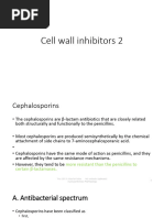 Northwestern Beta-Lactam Cross-Reactivity Chart | PDF | Penicillin ...