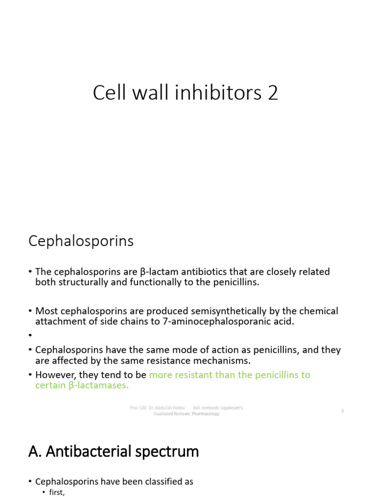 Cell Wall Inhibitors 2 | PDF | Beta Lactamase | Penicillin