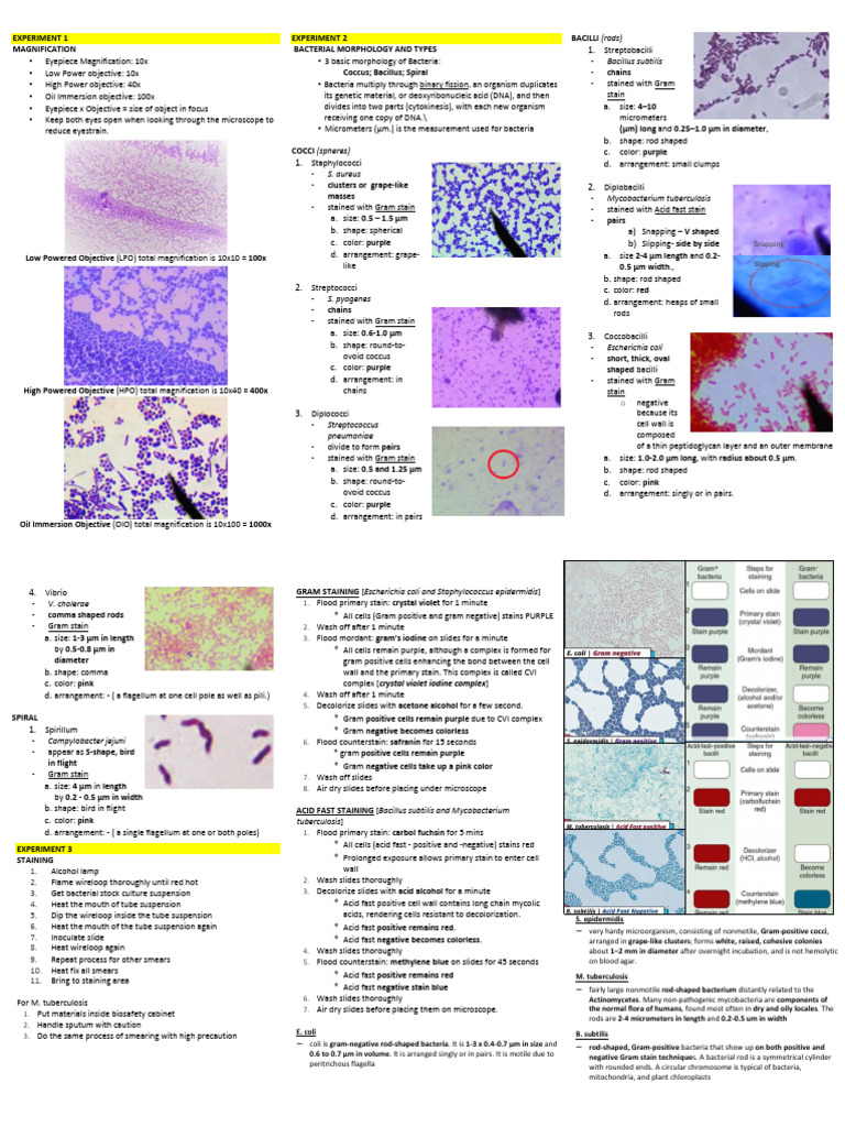 MicroPara Lab Principle Notes | PDF | Growth Medium | Bacteria