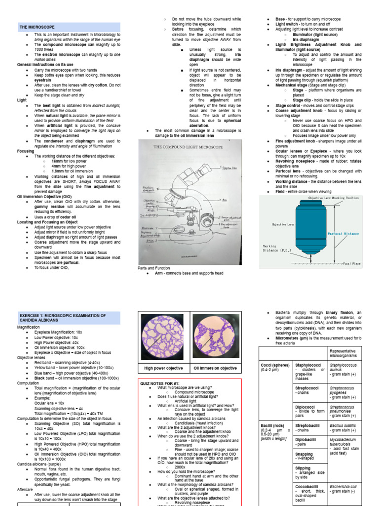 LAB - Ex 1-14 | PDF | Staining | Gram Positive Bacteria LAB - Ex 1-14 | PDF | Staining | Gram Positive Bacteria