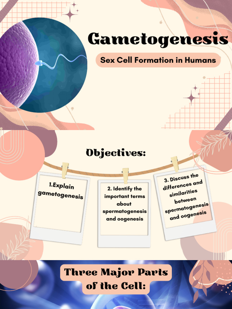 Game To Genesis | PDF | Cell (Biology) | Meiosis