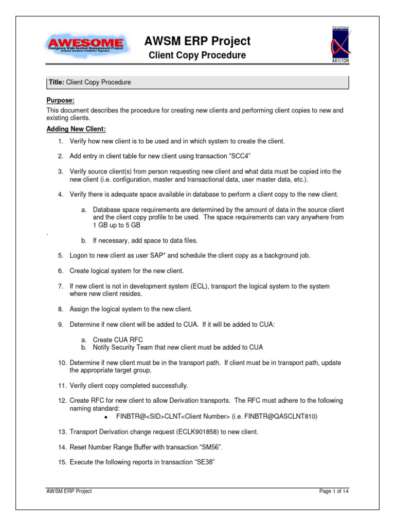 Client Copy Procedure | PDF | Databases | Enterprise Resource Planning